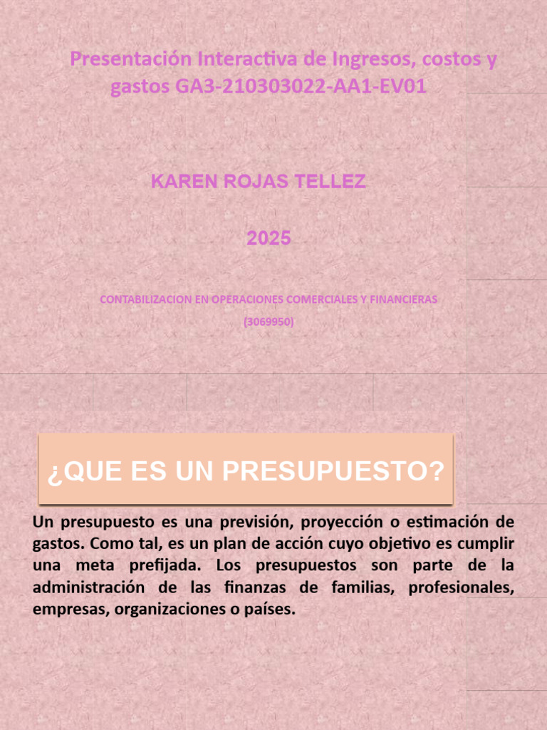 Ingresos Costos y Gastos Karen Rojas | PDF | Presupuesto | Business
