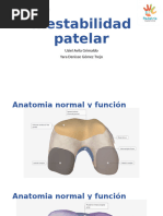 Liberacion Retinaculo Rodilla | PDF | Rodilla | Sistema musculoesquelético