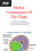 Scottie Dog Sign | PDF | Vertebra | Skeletal System