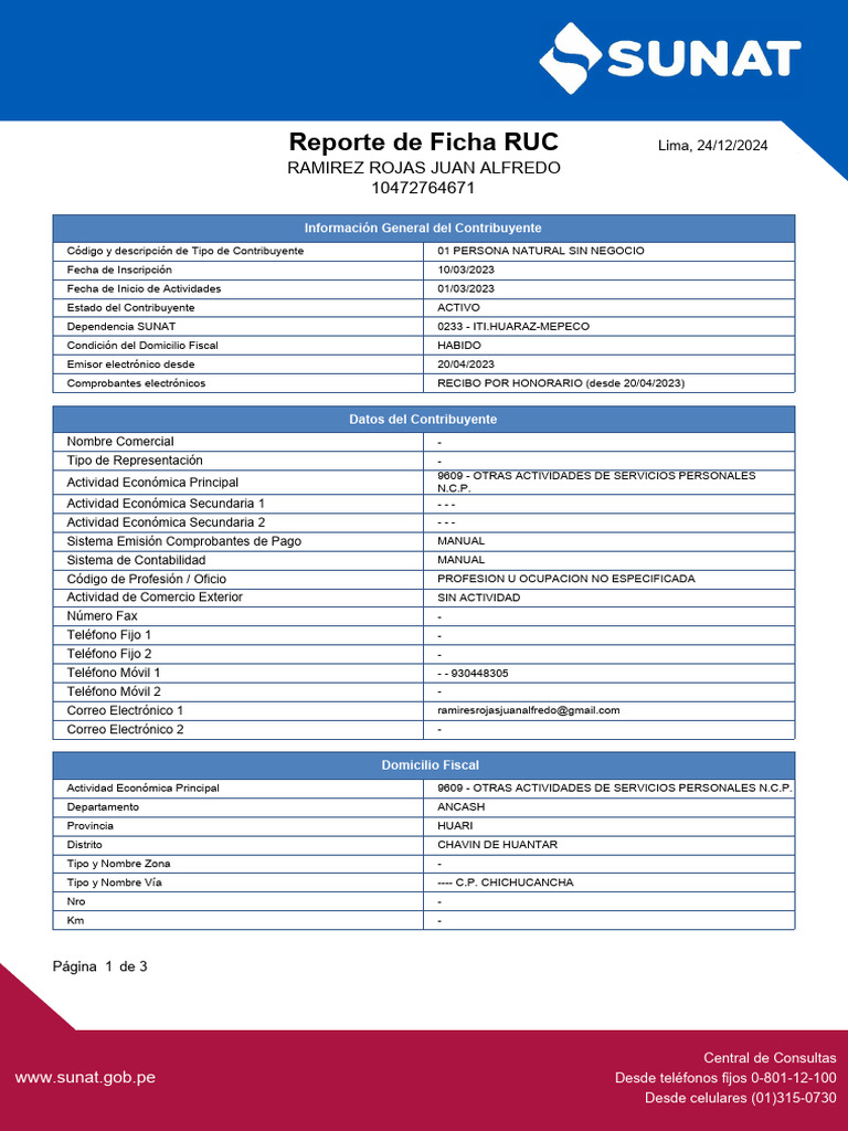 Ficha Ruc | PDF