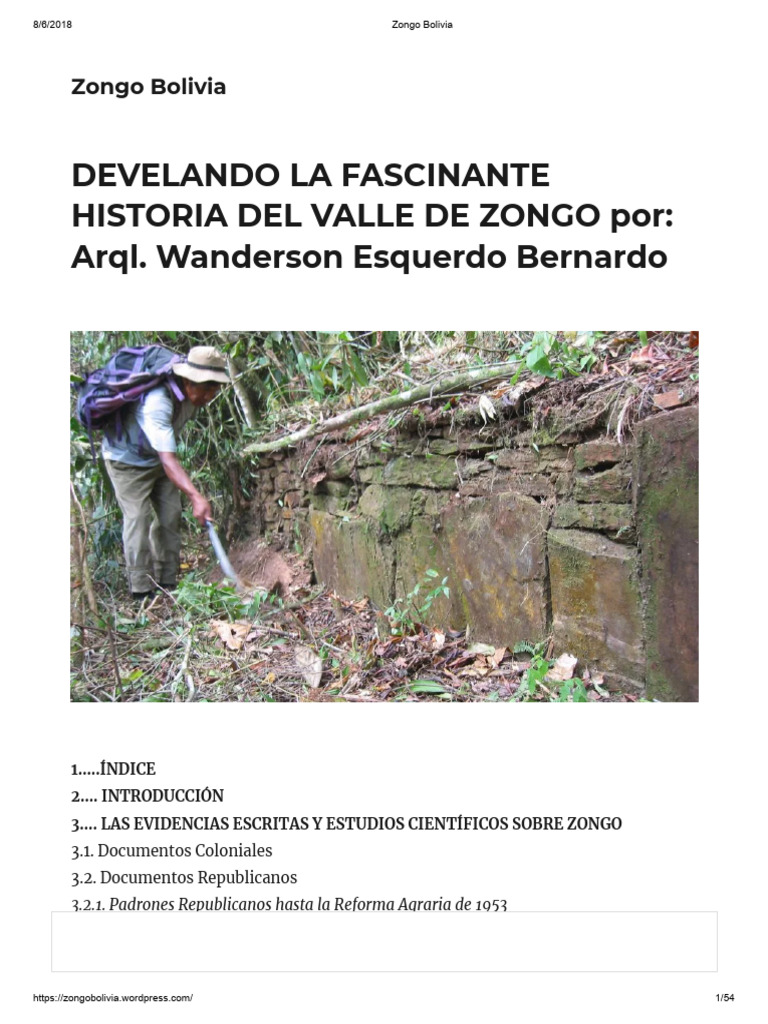 DEVELANDO LA FASCINANTE HISTORIA DEL VALLE DE ZONGO, Esquerdo 2017 | PDF | Imperio Inca | Bolivia