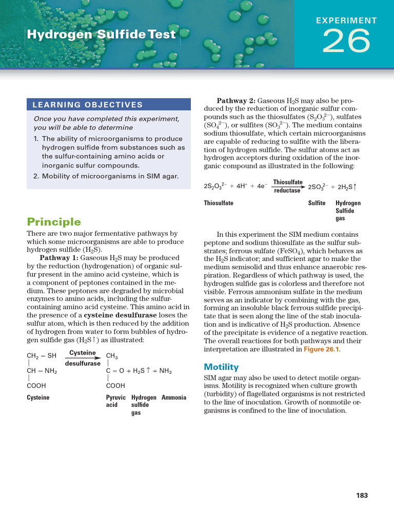 Experiment 26 Hydrogen Sulfide Test SIM | PDF | Sulfur | Sulfide