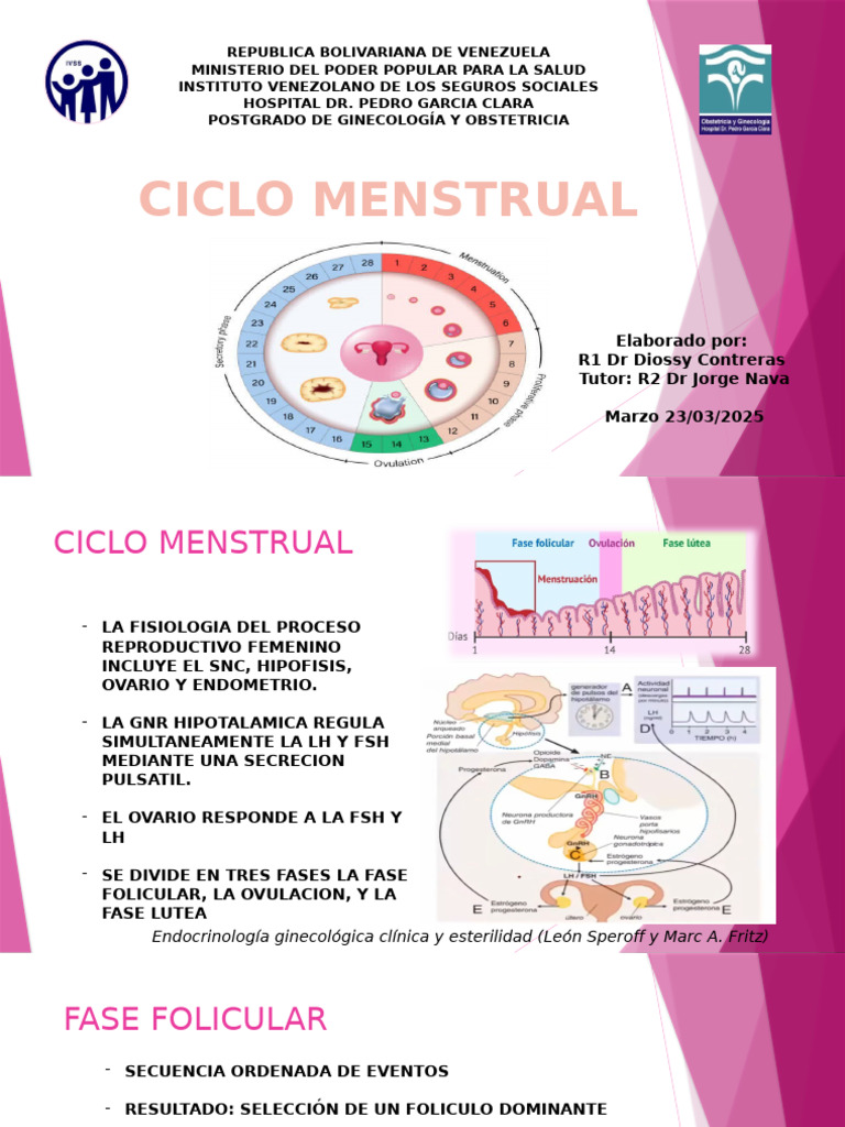 Ciclo Menstrual D y J | PDF | Sistema endocrino | Sistema reproductivo