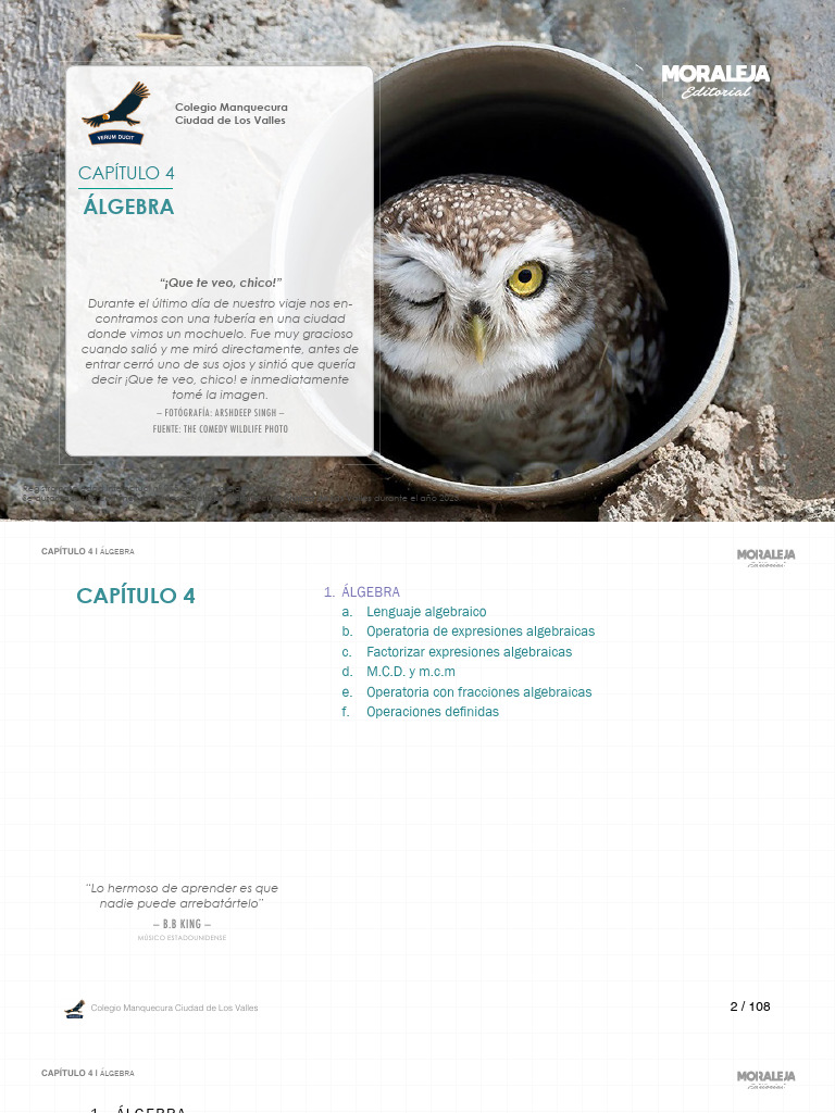 Ã - Lgebra RD 2025 | PDF | Factorización | Álgebra