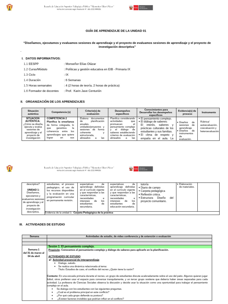 Guía de aprendizaje- PRÁCT.INVESTIG EIB - Primaria IX | PDF | Evaluación | Plan de estudios