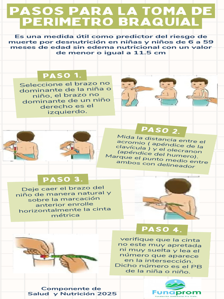 Infografía Perimetro Braquial | PDF