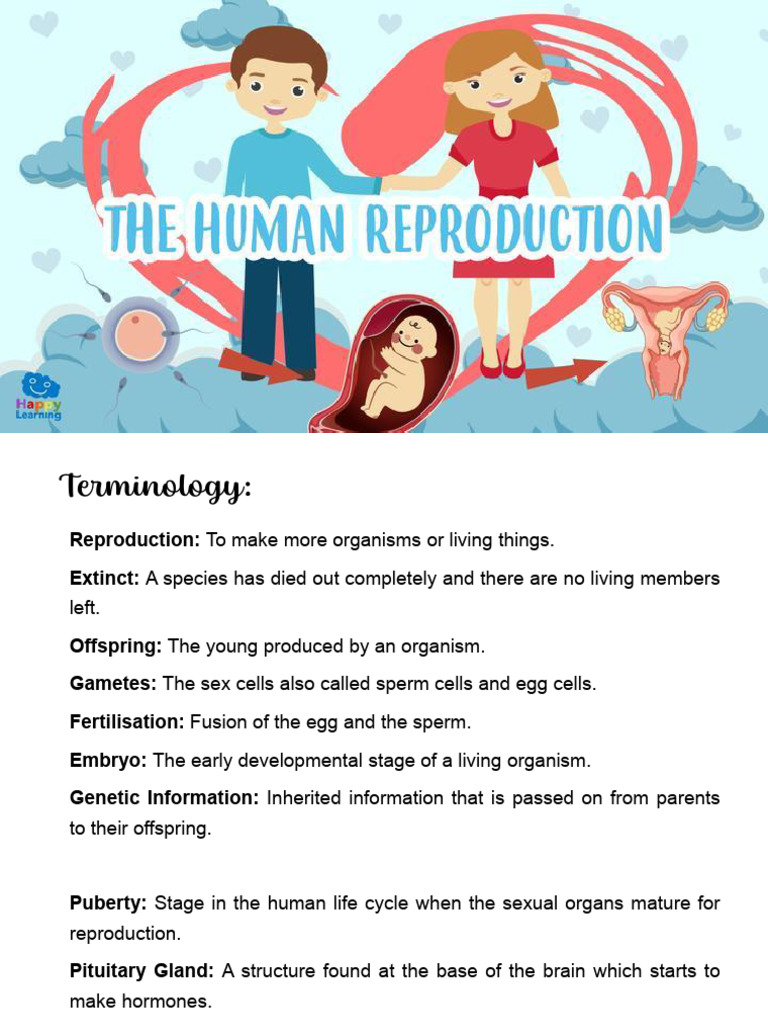 Human Reproduction - Grade 9 | PDF | Human Reproduction | Reproductive ...