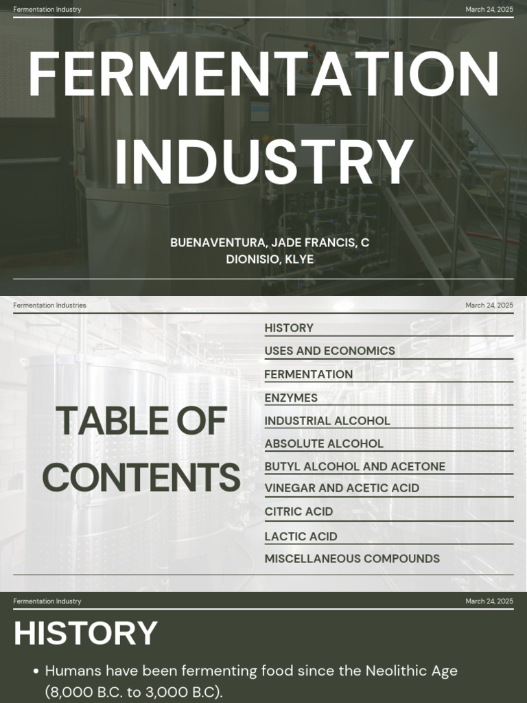 Overview of the Fermentation Industry | PDF | Ethanol | Fermentation