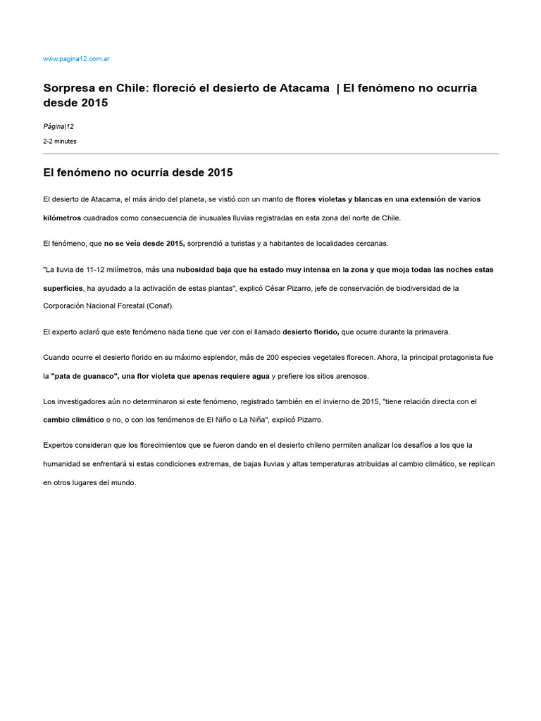 Sorpresa en Chile - Floreció El Desierto de Atacama - El Fenómeno No ...