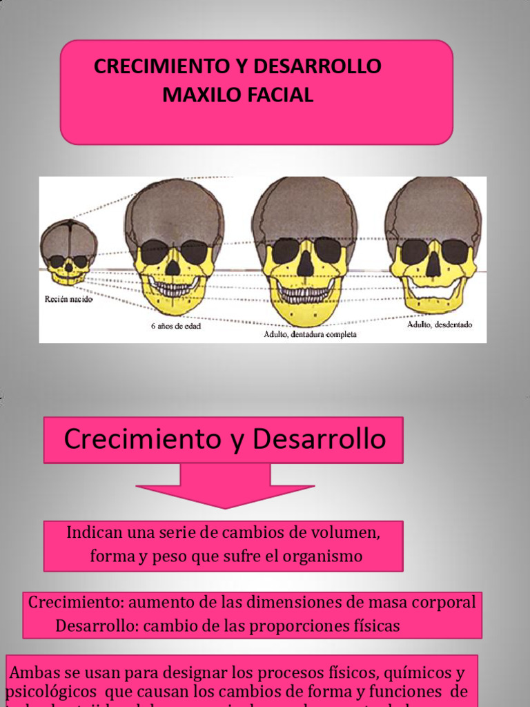 Crecimiento y Desarrollo Maxilo Facial | PDF | Cráneo | Sistema esquelético