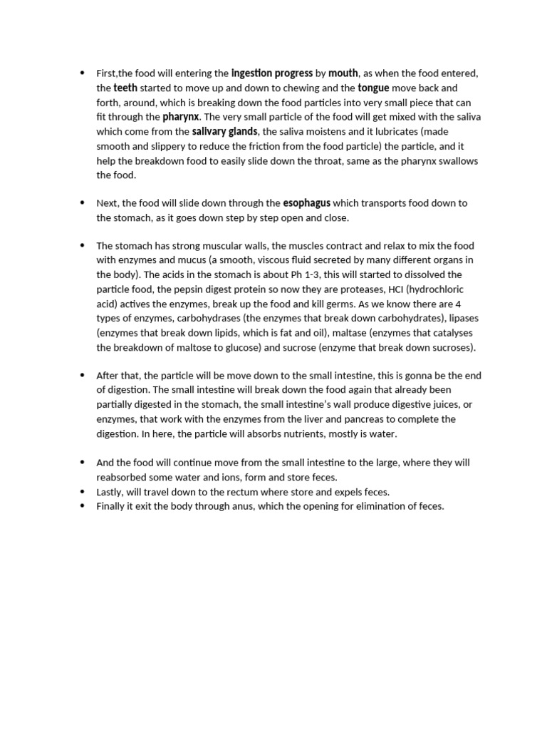 Digestive Process Explained Step-by-Step | PDF