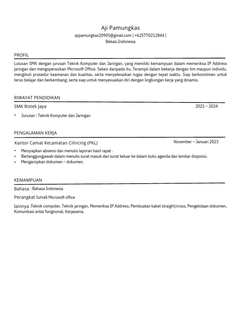 CV Aji Pamungkas | PDF