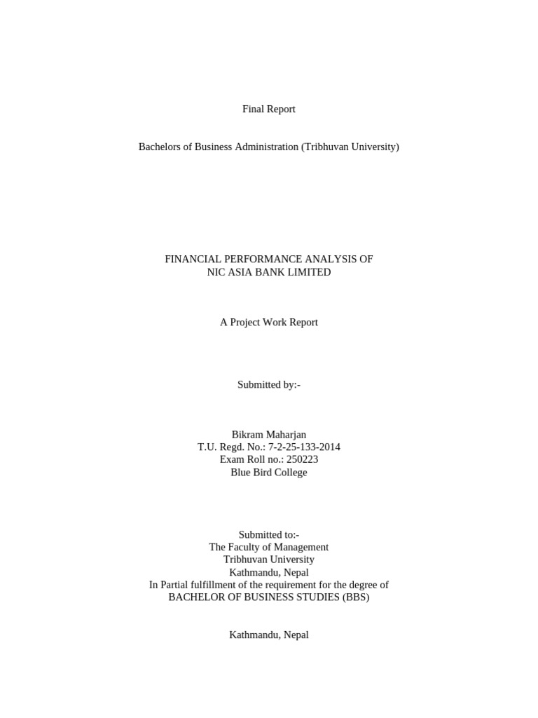 Final Report - Docx Nice Asia Financail Performance | PDF | Banks ...