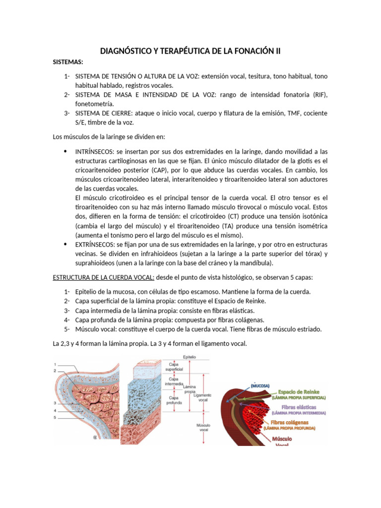 Resumen Fonación | PDF | Laringe | Canto