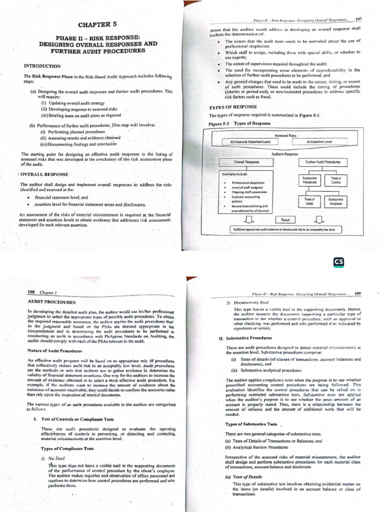Audit Cycle | PDF