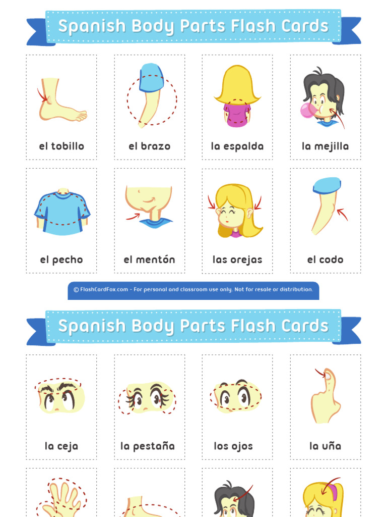Spanish Body Parts Flash Cards 2x3 | PDF