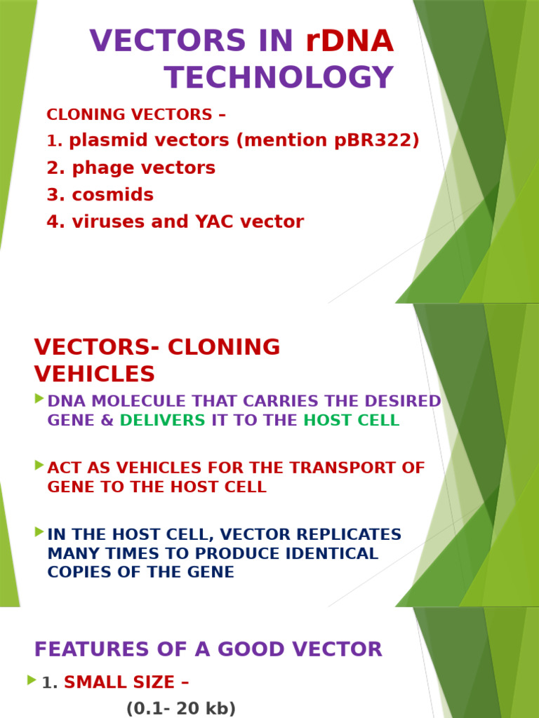 Vectors in Rdna Technology | PDF | Plasmid | Vector (Molecular Biology)