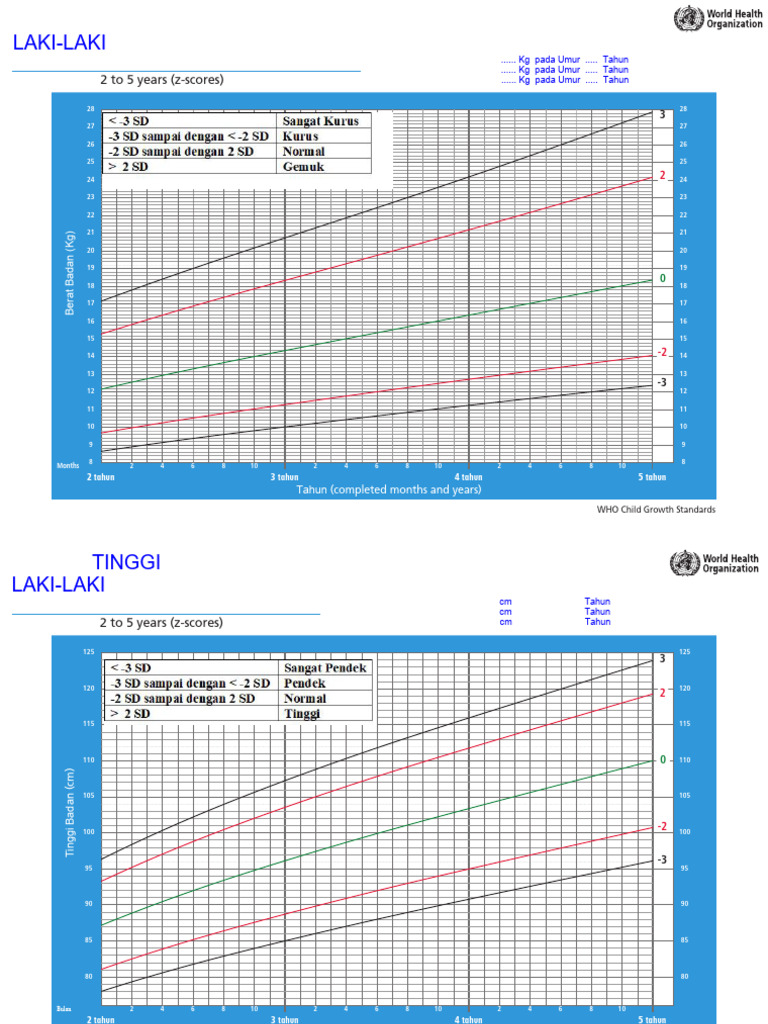 Grafik Pertumbuhan Anak Laki-Laki | PDF