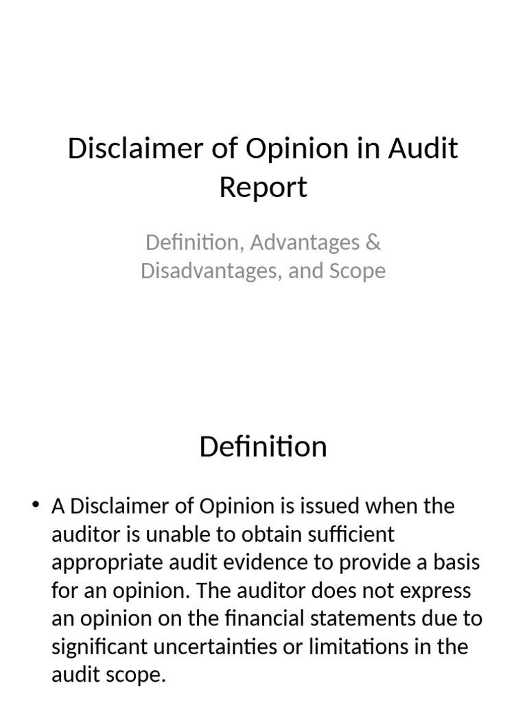 Understanding Disclaimer of Opinion in Audits | PDF