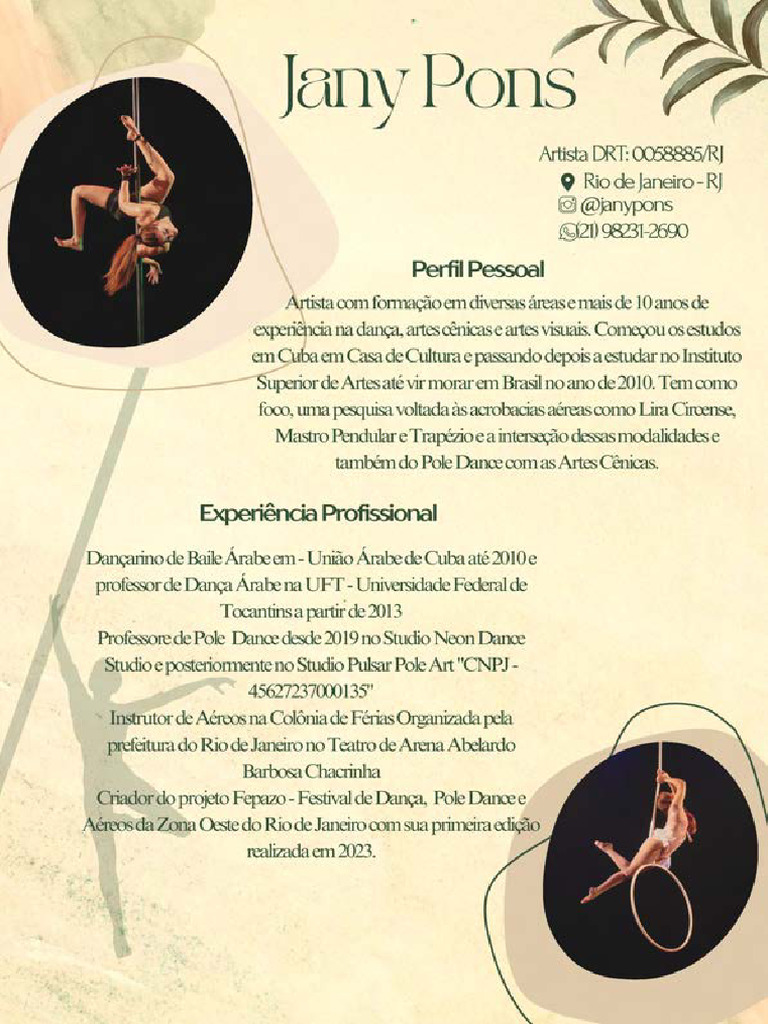 Jany Pons CURRÍCULO1 Compactado - 1 Compactado | PDF