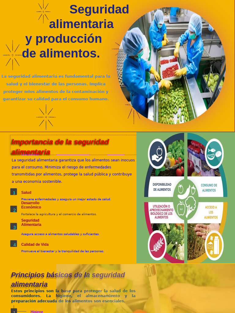 Salud y Nutrición | PDF | Alimentos | Seguridad alimenticia