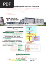Anaplerotic and Cataplerotic Reactions of The Tca Cycle | PDF | Diet ...