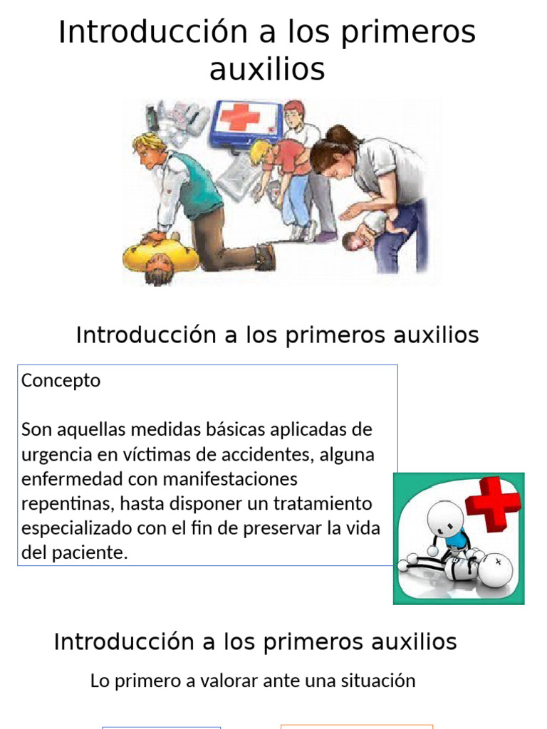 Primeros Auxilios | PDF | Reanimación cardiopulmonar | Primeros auxilios