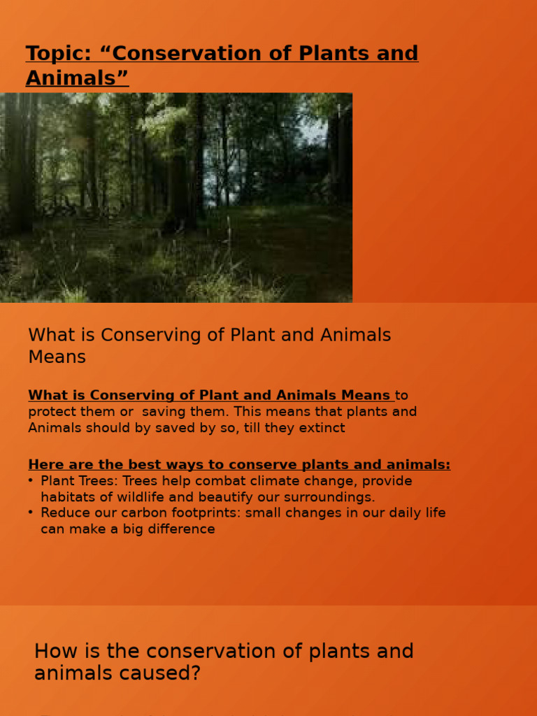 Plant and Animal Conservation Guide | PDF