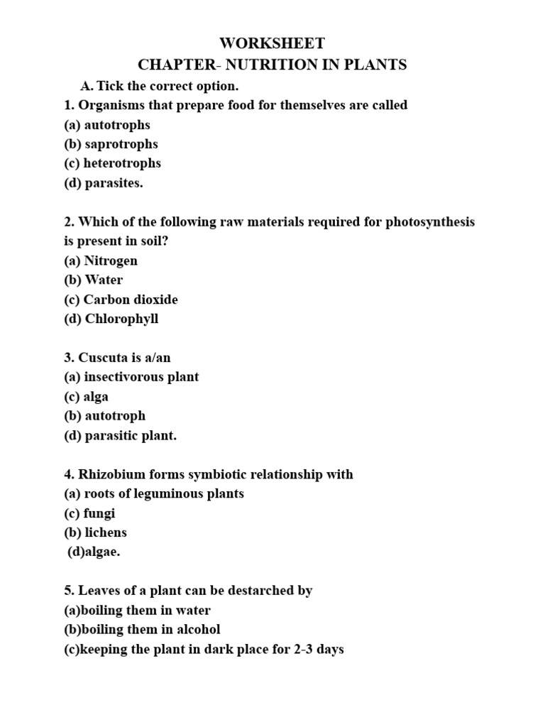 Nutrition in Plants Worksheet | PDF | Plants | Nutrition