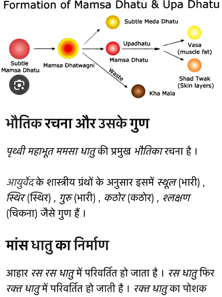 Formation of Mamsa Dhatu and Upa Dhatu | PDF
