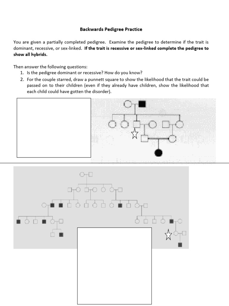 Aaron Schindler - Pedigree Analysis Problems | PDF