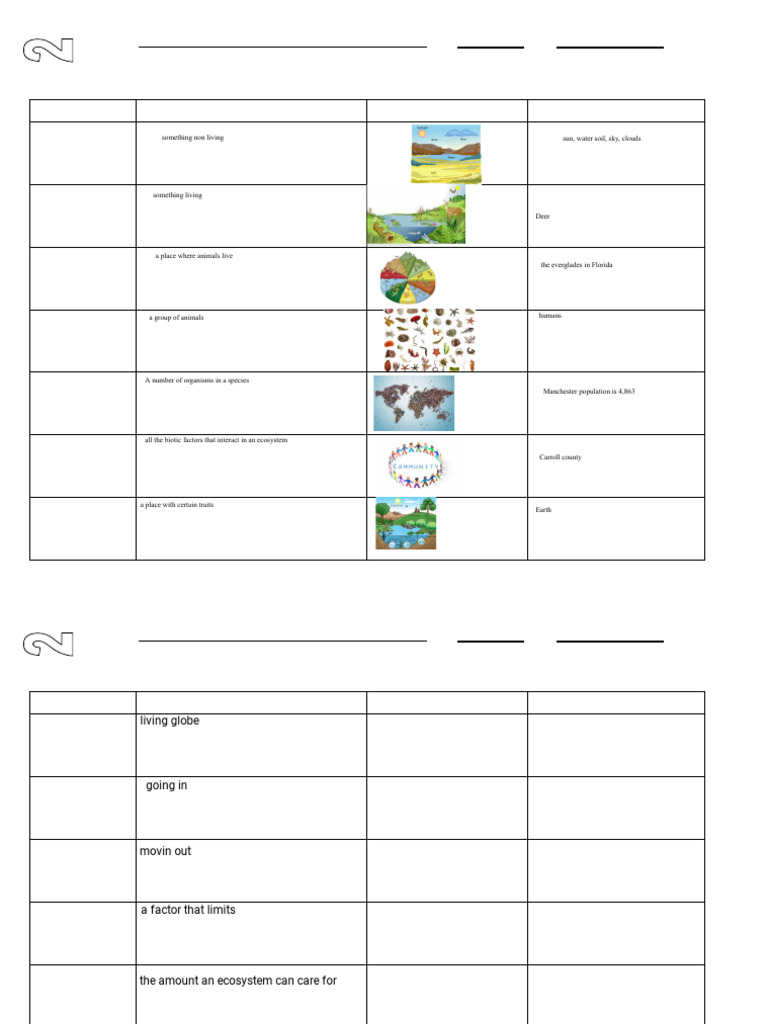 Aaron Schindler - Vocab Sheet | PDF | Ecosystem | Predation