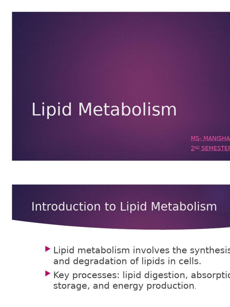 Overview of Lipid Metabolism Processes | PDF