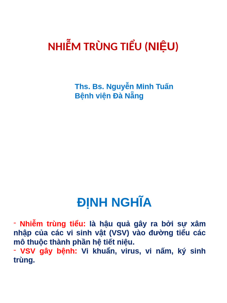 Nhiem Trung Nieu LT | PDF