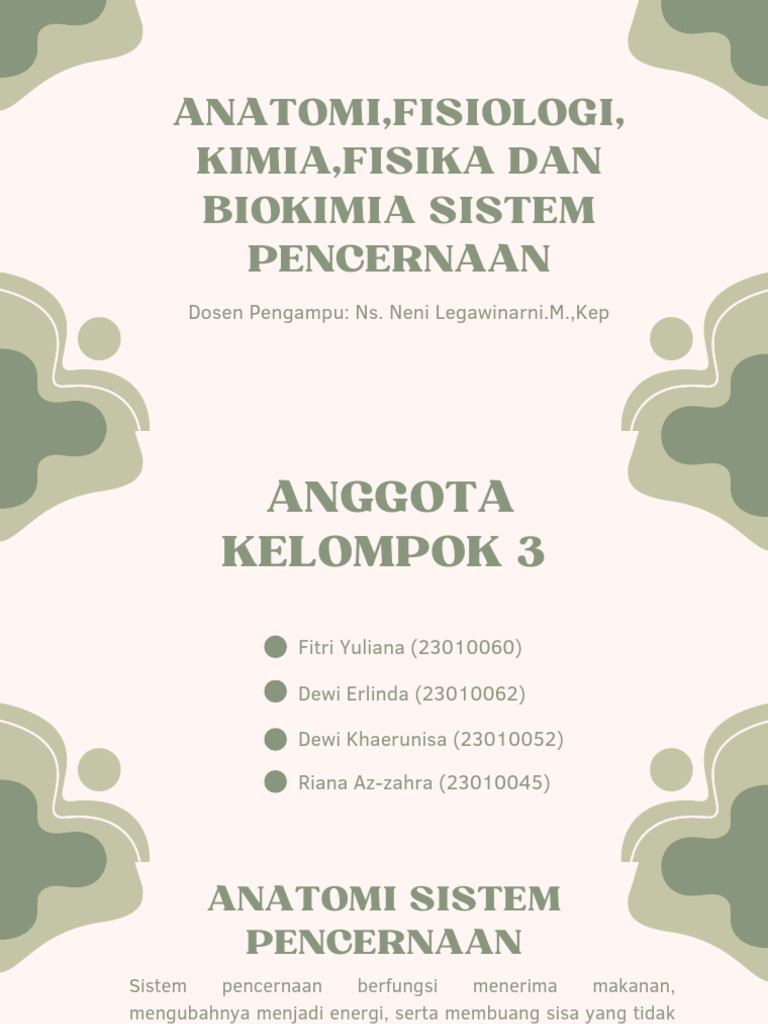 Anatomi Fisiologi Fisika Kimia Dan Biokimia Sistem Pencernaan (Kelompok 3) | PDF