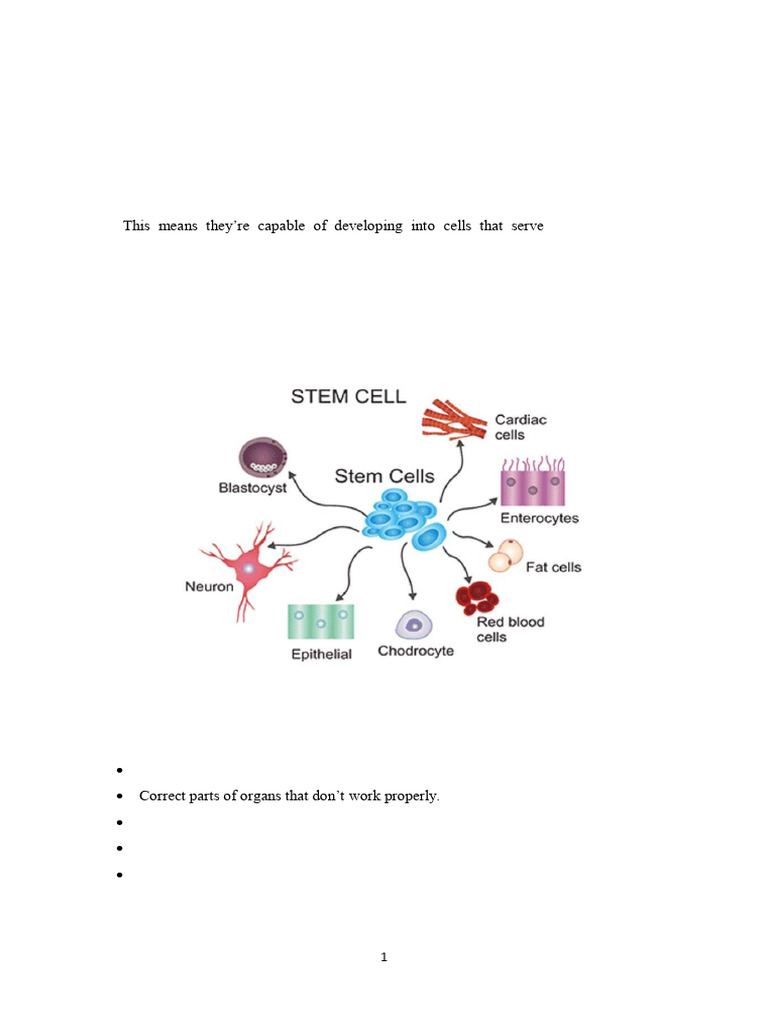 SRIHARINI - Completed | PDF | Stem Cell | Embryonic Stem Cell