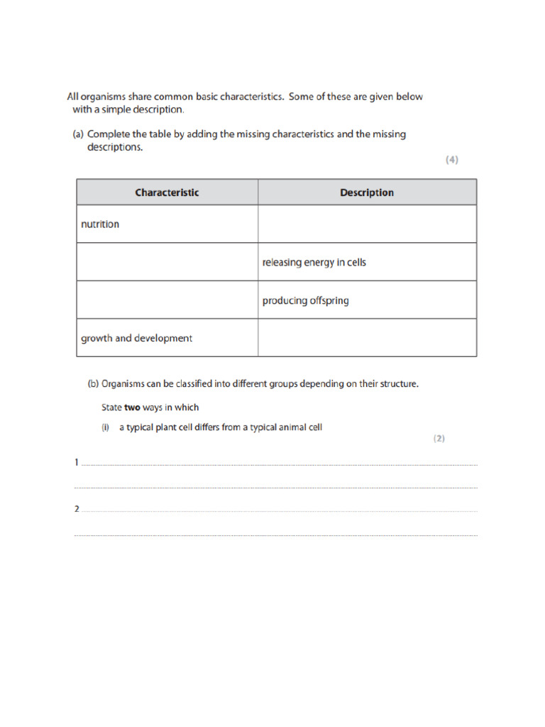 Grade 9 Worksheet | PDF
