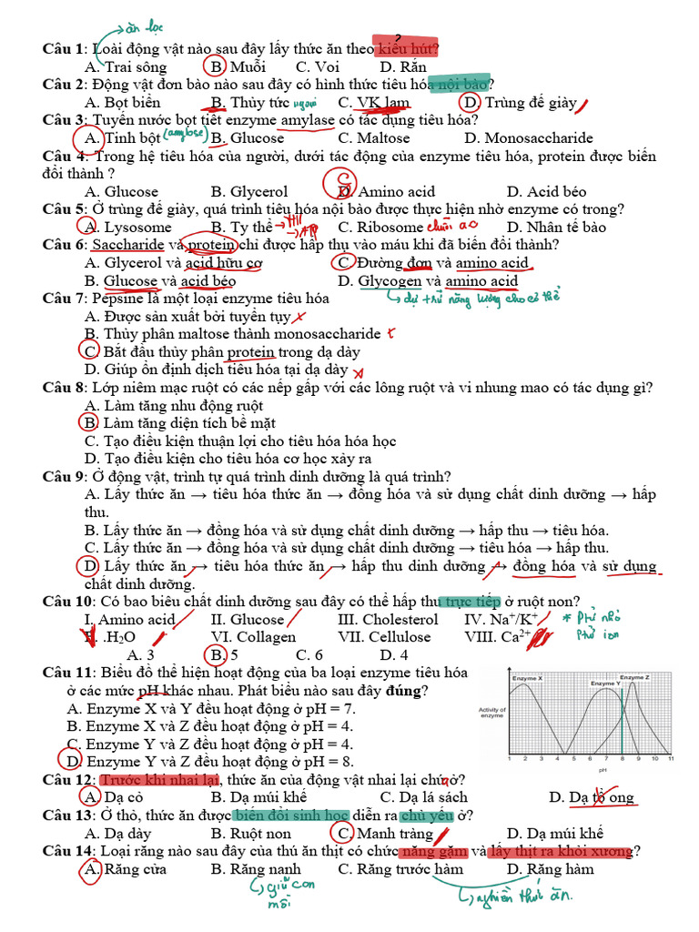 TIEU HÓA 2K8 - Handout | PDF