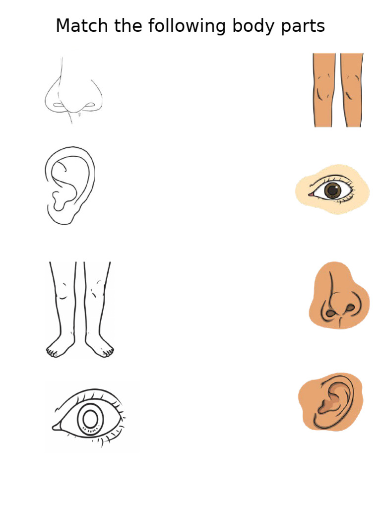 Matching Body Parts | PDF