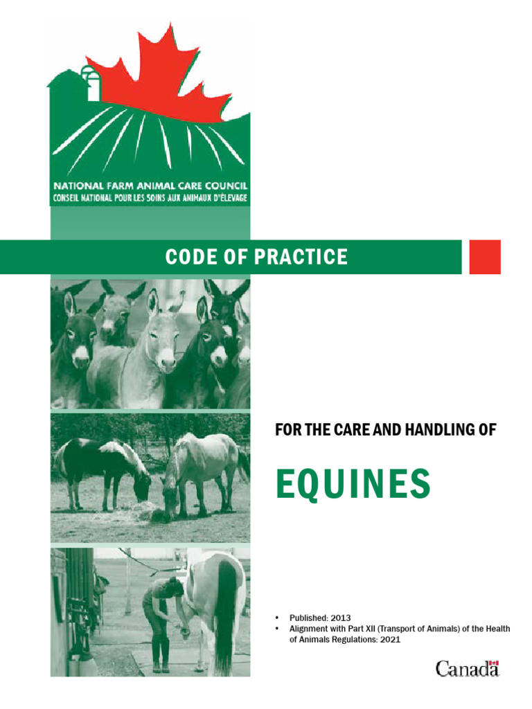 Equine Code of Practice | PDF | Animal Welfare | Horses