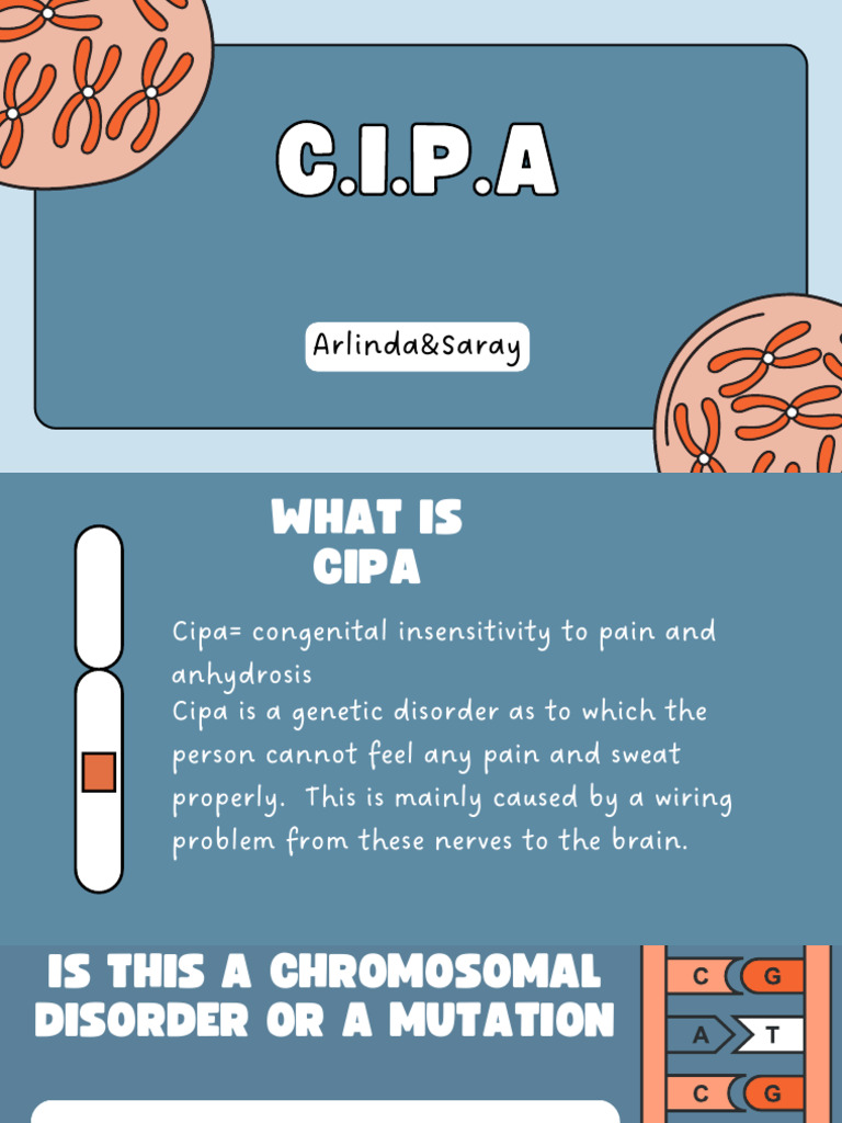 C I P A | PDF