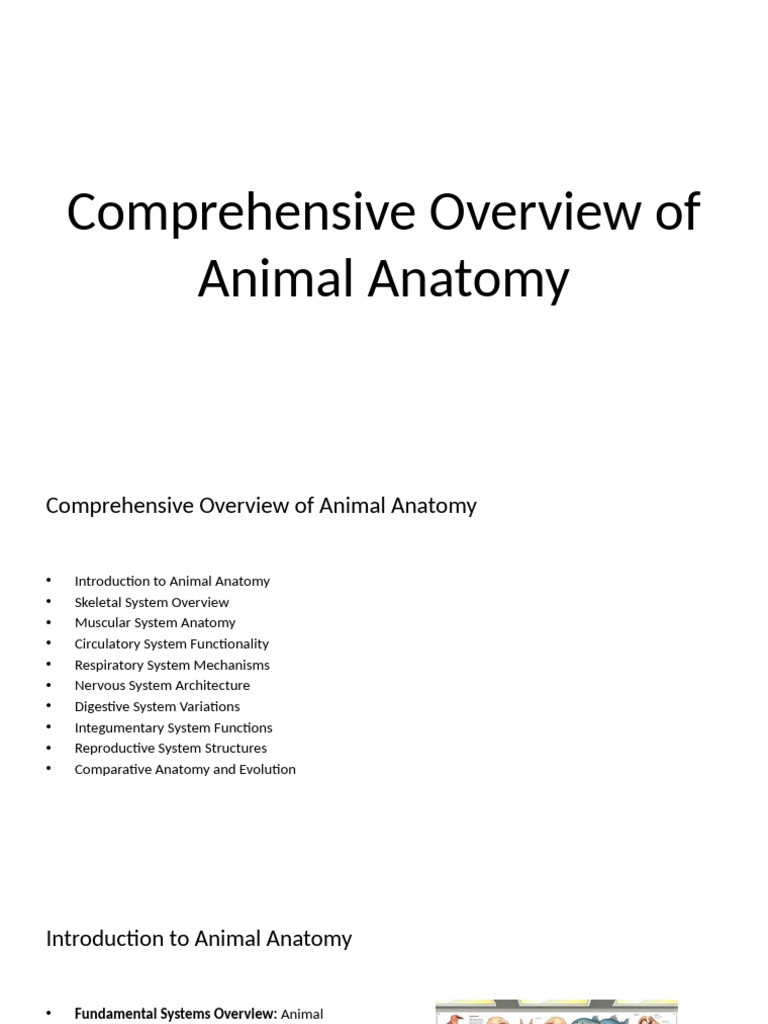 Animal Anatomy: Systems and Evolution | PDF | Anatomy | Skeleton
