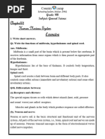 Class 5-Science Notes-The Nervous System | PDF | Brain | Nerve