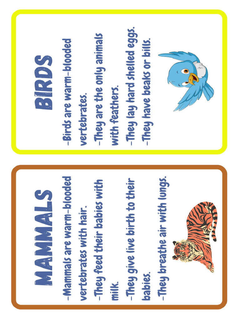 Animal Classification | PDF