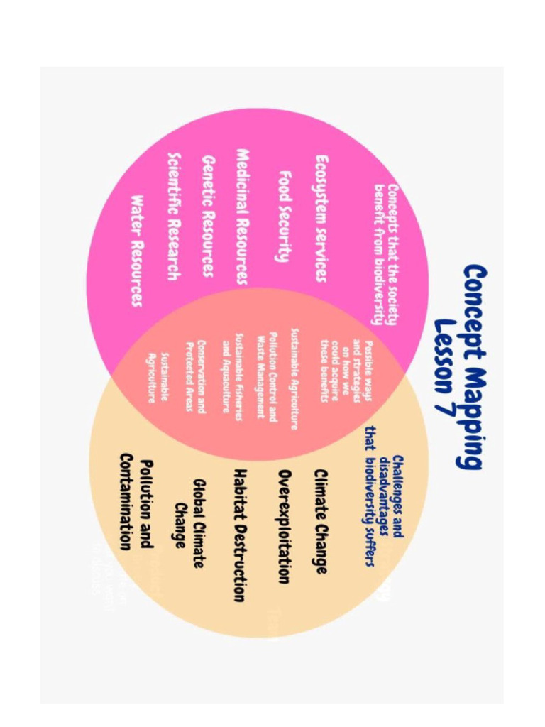 Concept Making | PDF