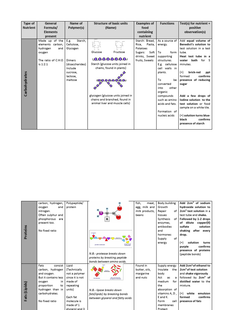 Type of Nutrient Summary Sheet | PDF | Glucose | Starch