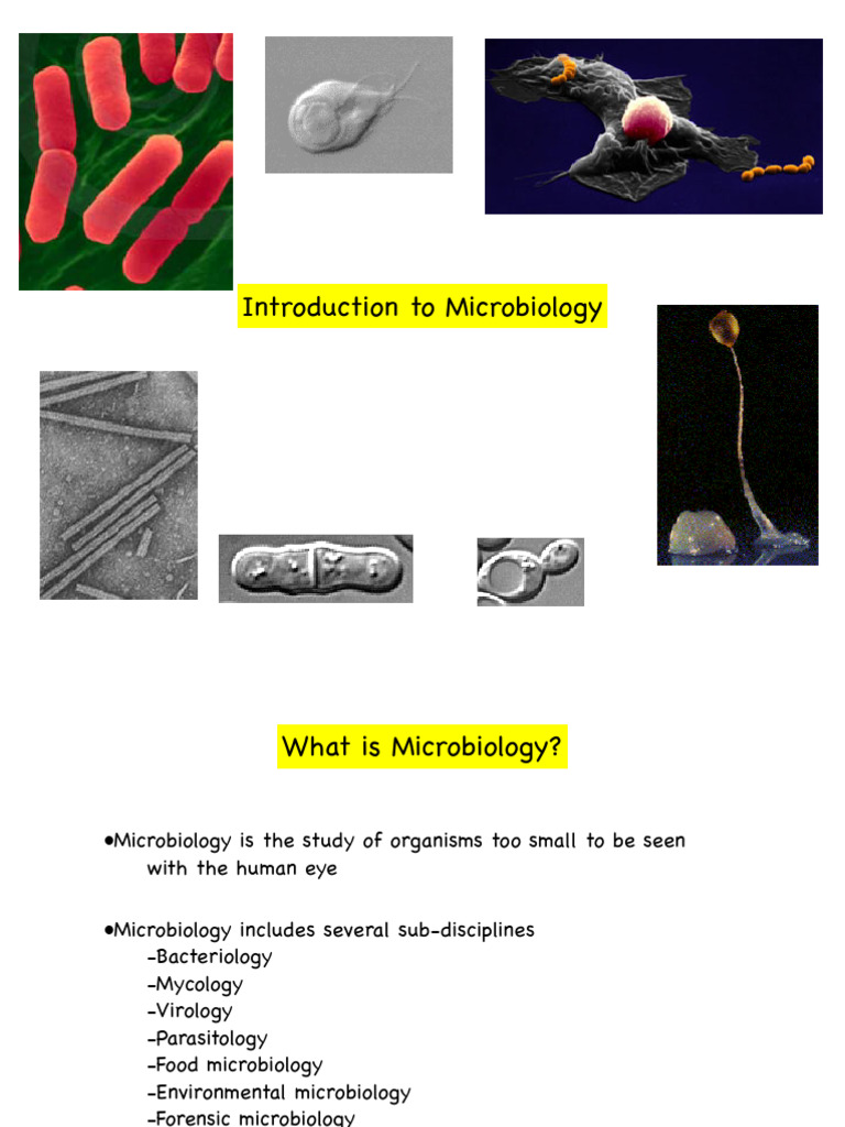 Introduction to Microbiology Basics | PDF | Infection | Microbiology