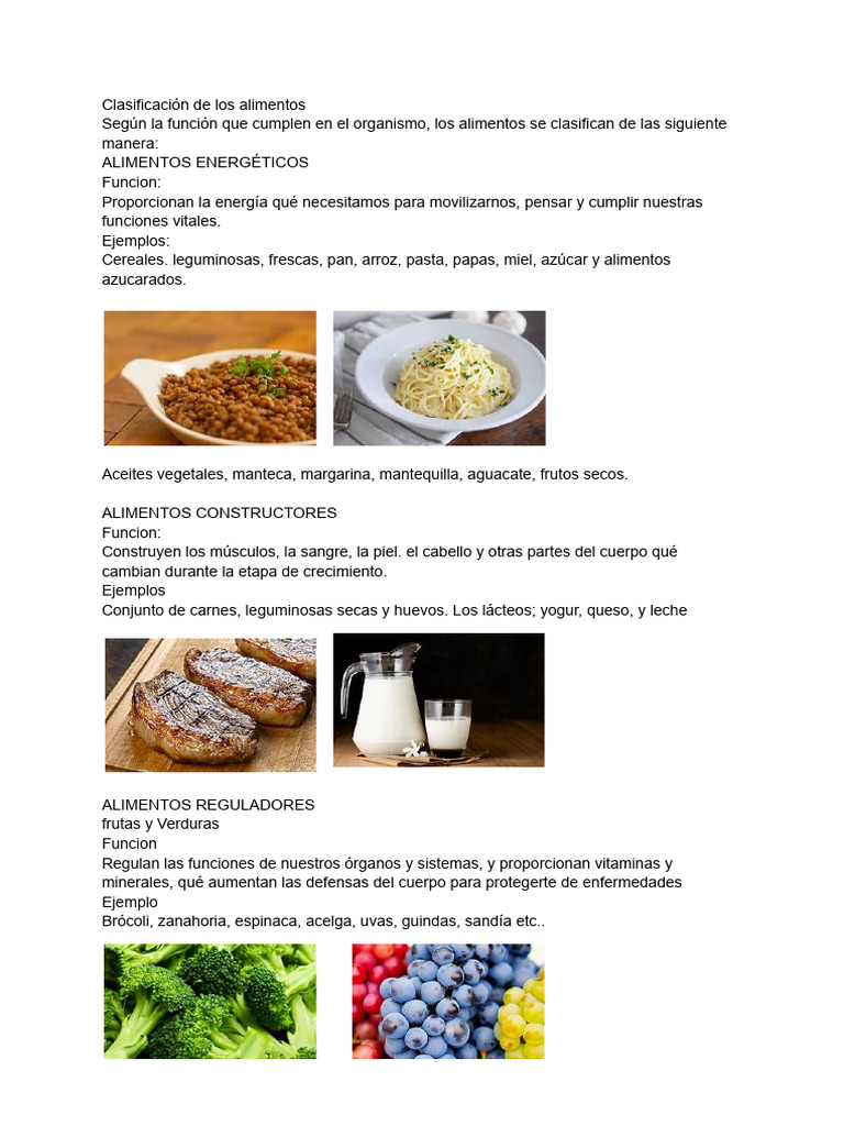 Clasificación de Alimentos Energéticos y Reguladores | PDF