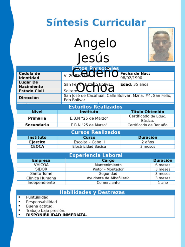 Currículum de Angelo Cedeño Ochoa | PDF