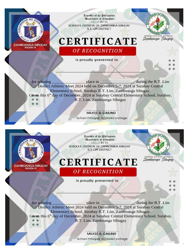 Arnis Certificate Coach | PDF
